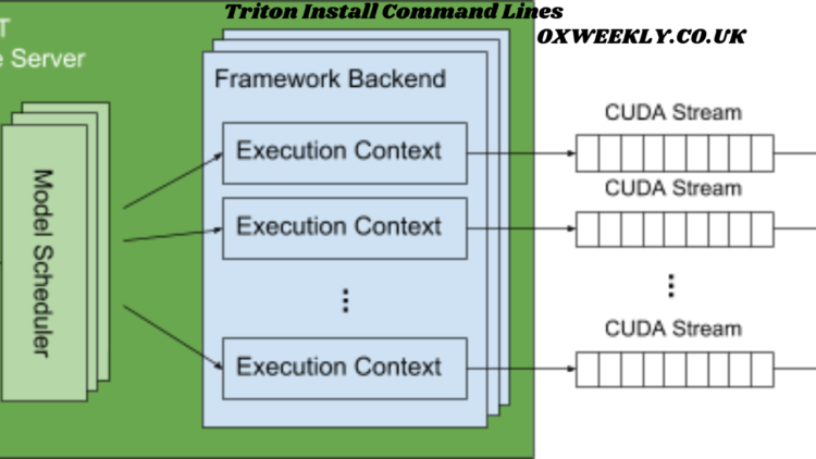 Triton Install Command Lines: Step-by-Step Installation Guide - OXford ...