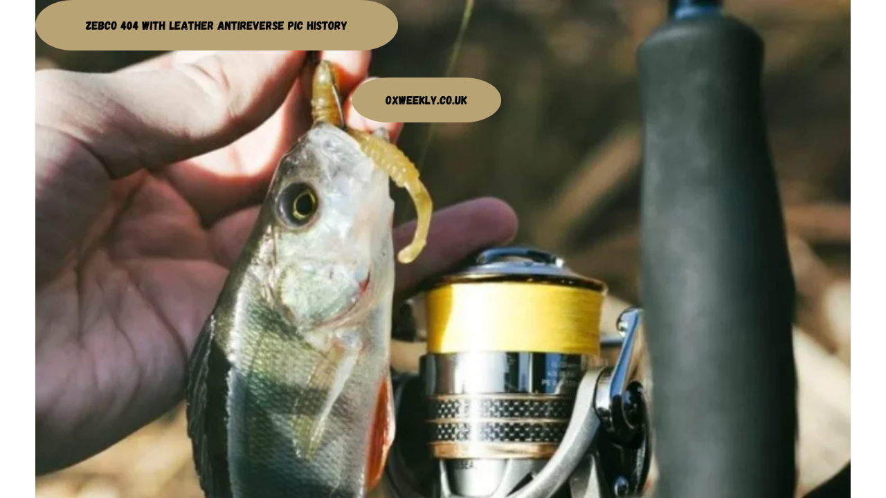 Zebco 404 with Leather Anti-Reverse: History & Evolution - OXford Weekly