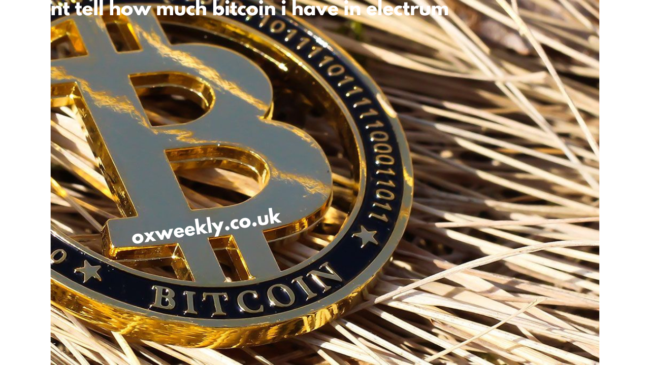 "Nt Tell How Much Bitcoin I Have in Electrum? A Comprehensive Guide ...